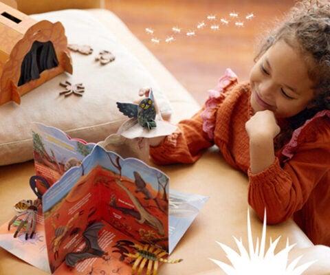 Kindergarten Reading: The Complete Guide For Families - Begin Learning