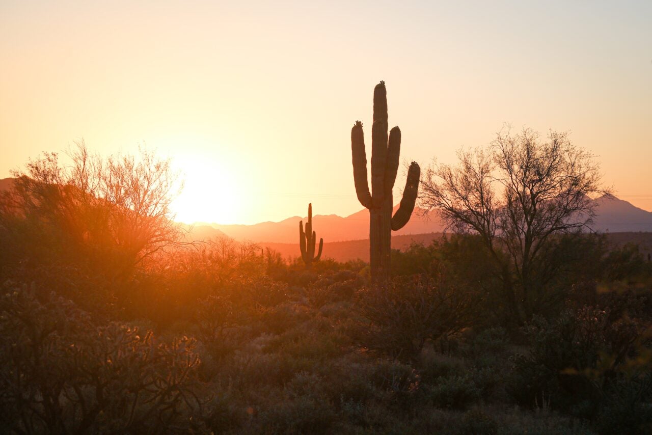 Free Things to Do in Phoenix with Family: 20 Kids Activities