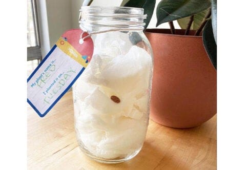 48 Fun and Educational Hands-On Activities for 1st Graders - Begin Learning